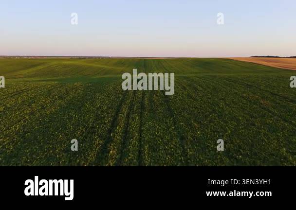 Inspiring aerial view of a drone flying forward over a beautiful green ...