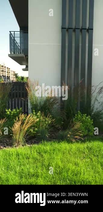 Landscaped garden with lush green lawn and ornamental grasses outside a ...