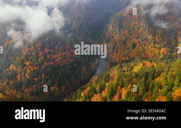 Gorgeous colorful autumn in the mountains. Aerial shot of red and ...