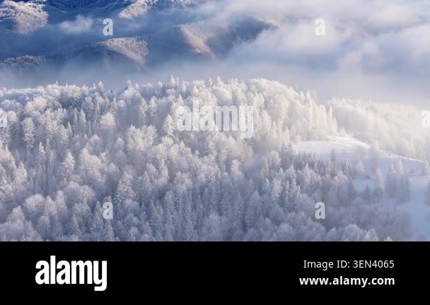 Winter mountain landscape. A tranquil and serene winter scene showcases ...