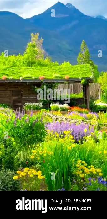 beautiful flowers in the garden, Flowers, Fruits, Rose, Daisy ...