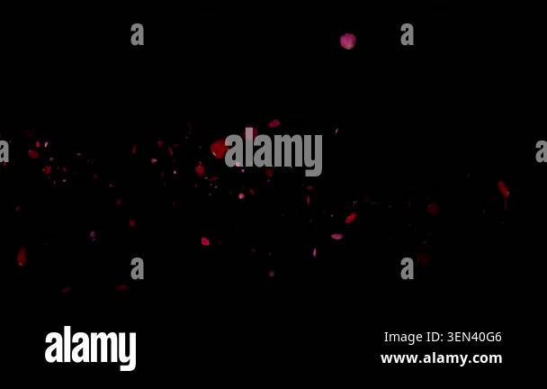 red and black background with bokeh effect Stock Video Footage - Alamy