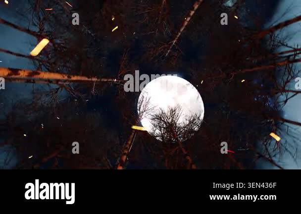 Animated seamless loop of night sky with moon, stars and trees in ...