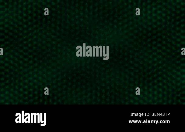 dark blue background with many small small circles Stock Video Footage ...