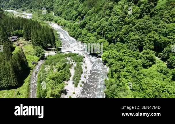Aerial view of winding river surrounded by trees Stock Video Footage ...