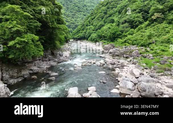 Flowing river surrounded by lush green trees Stock Video Footage - Alamy