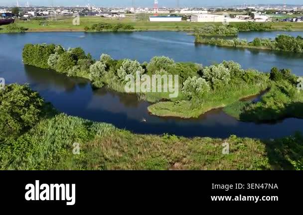 Aerial view of green landscape surrounding water Stock Video Footage ...