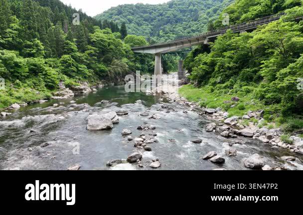 River flowing under bridge surrounded by greenery Stock Video Footage ...