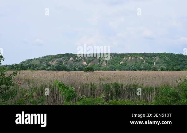 Chalk Hills Beyond Reed Beds in Nyzhnovorsklyanskyi Regional Landscape ...