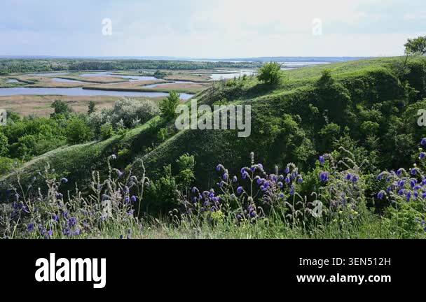 Wetland Panorama and Steppe Hills in Nyzhnovorsklyanskyi Regional ...