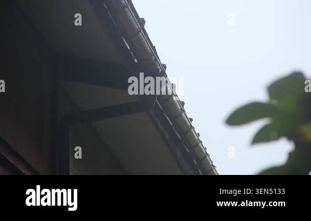 Rain gutters under the eaves of a detached house and rainfall, Tohoku ...