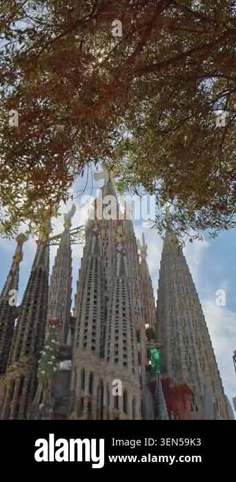 Sunlight filtering through tree canopy above Sagrada Familia towers in ...