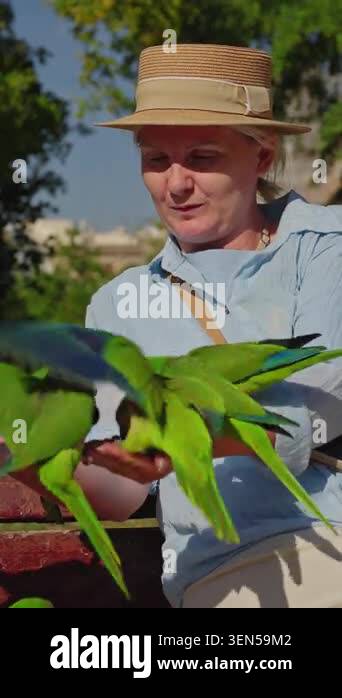 Woman feeding green monk parakeets in city park in Barcelona Spain ...