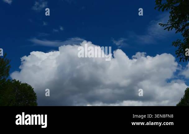 Time lapse of blue sky with large white clouds moving above green trees ...