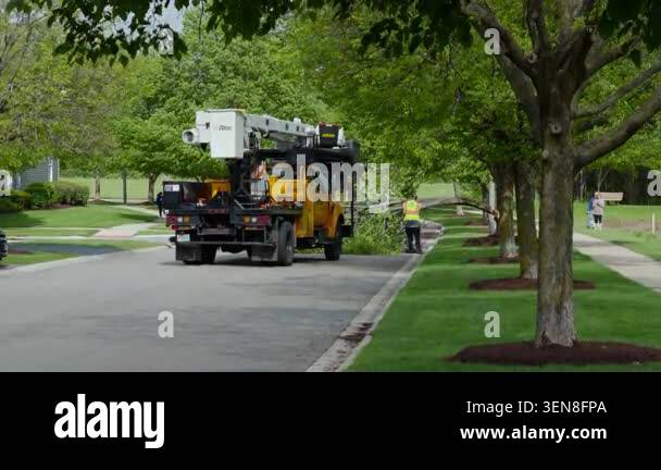 Tree service truck collecting cut branches during residential tree ...