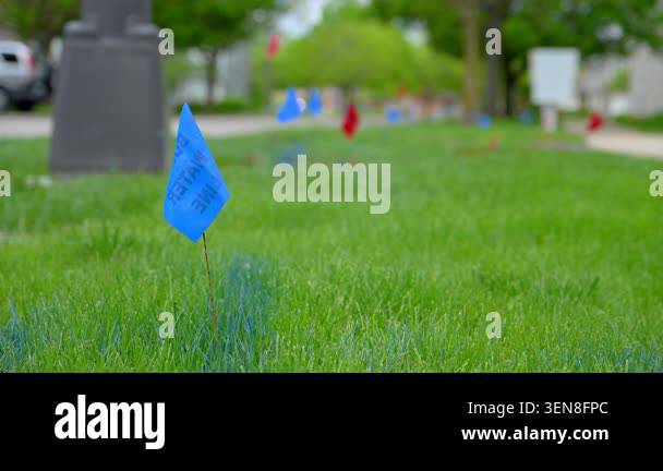 Blue and red buried water line utility marker flag in grass. safety ...