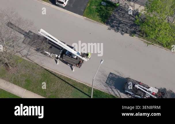 Aerial drone top down footage of Tree trimming worker working from ...