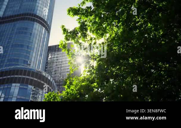 Sunlight shining through green trees beside modern glass skyscrapers in ...