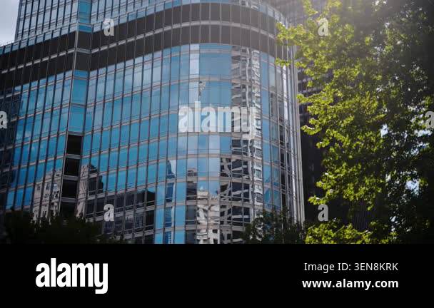 Green trees branches beside modern glass skyscrapers in downtown city ...