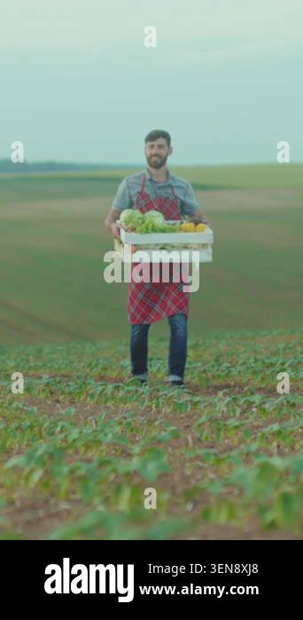 man walking across open field carrying wooden crate of vegetables, long ...