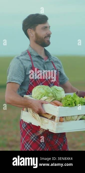 Bearded white farmer holding crate of fresh cabbage, lettuce and ...