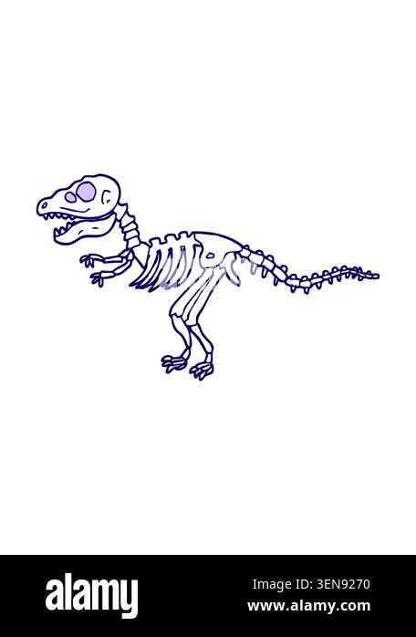 Drawing of dinosaur skeleton standing upright Stock Video Footage - Alamy