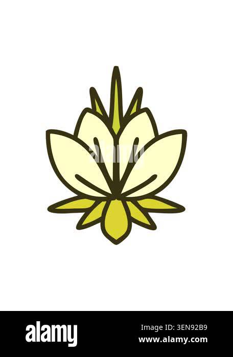 animated lotus flower icon transitions through various color palettes ...