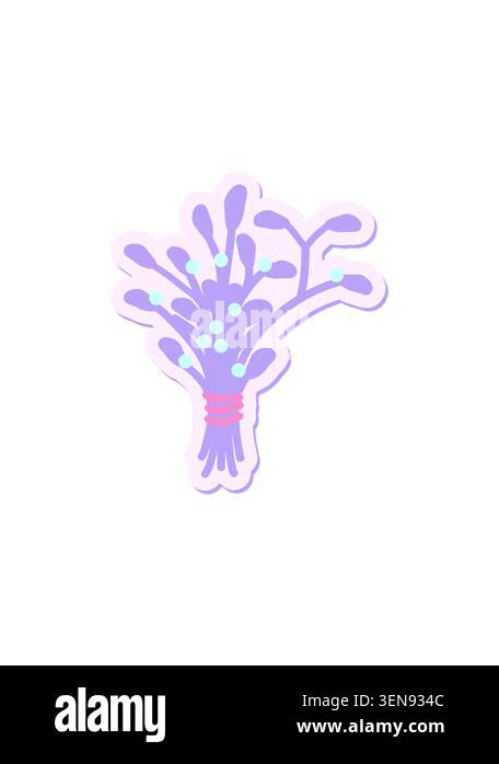 starburst effect animation of mistletoe for spells sticker Stock Video ...