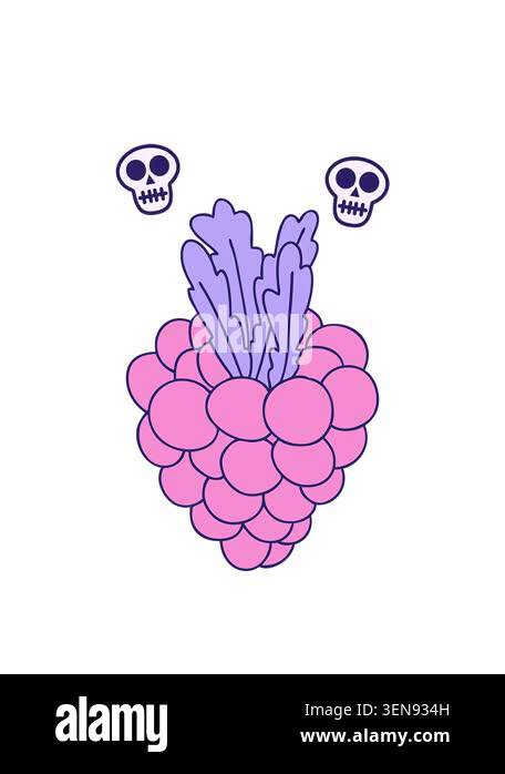 spinning skulls animation of hand drawn quirky cartoon bunch of grapes ...