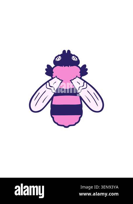 splitting effect animation of cartoon quirky buzzing bee Stock Video ...