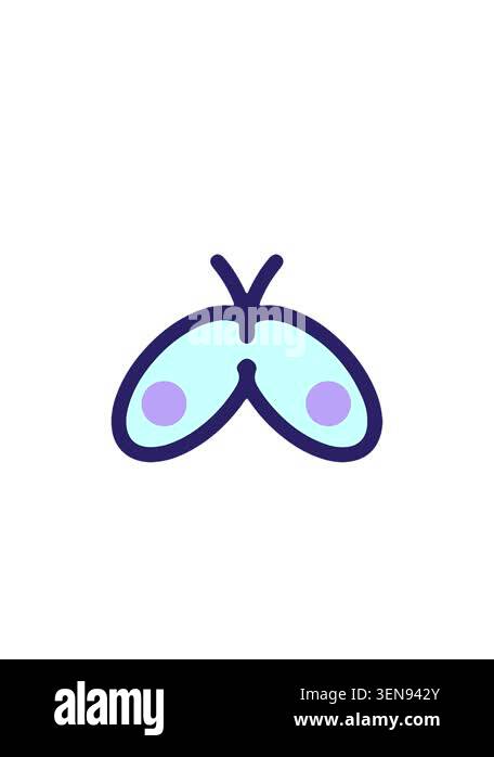blinking radial lines animation of simple and cute butterfly design ...