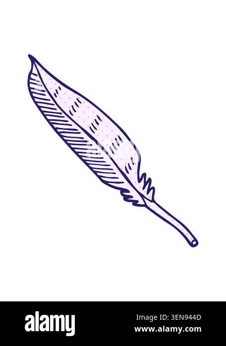 Vertical video showing a simple animated drawing of a purple feather ...