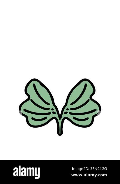 stretching up animation of traditional japanese ginko split leaf symbol ...