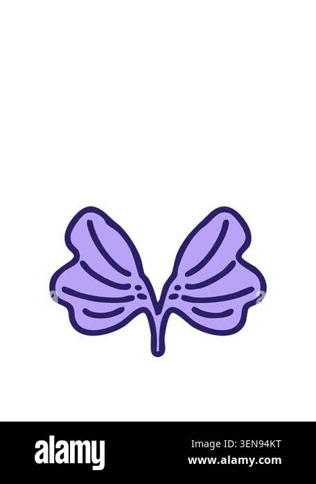 stretching up animation of a traditional japanese ginko leaf symbol ...