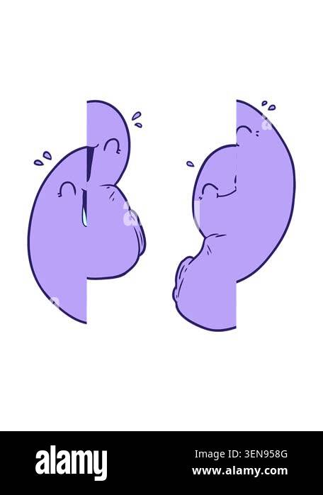 splitting motion animation of cartoon happy kidneys Stock Video Footage ...