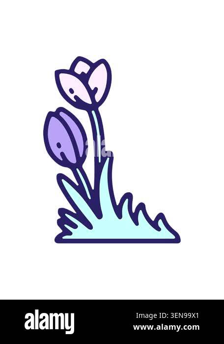 pressure popping animation of drawing of tulip flower Stock Video ...