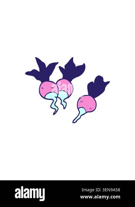 splitting effect animation of cartoon doodle healthy radish Stock Video ...