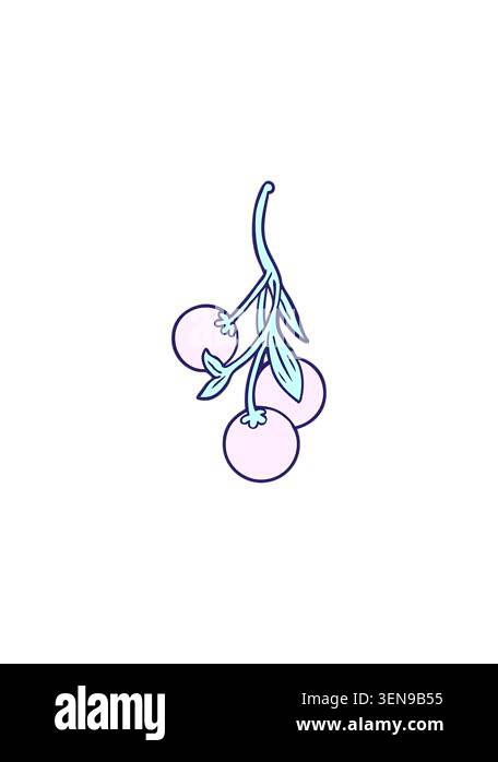 starburst effect animation of cartoon mistletoe Stock Video Footage - Alamy