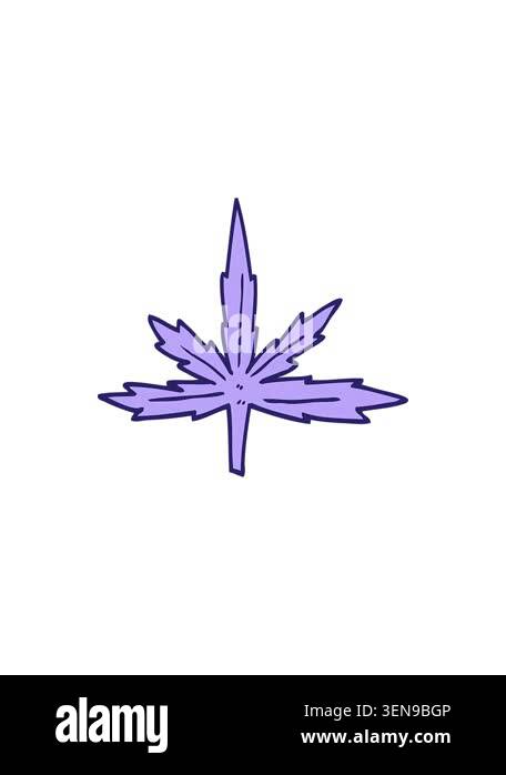 starburst effect animation of cartoon doodle marijuana leaf Stock Video ...