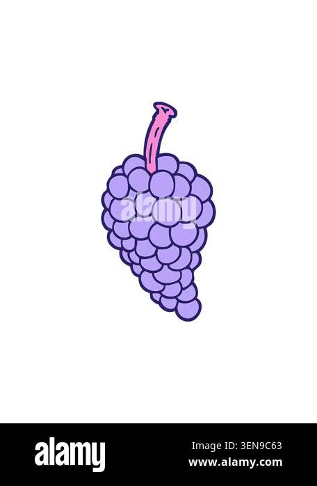 starburst effect animation of cartoon doodle bunch of grapes Stock ...