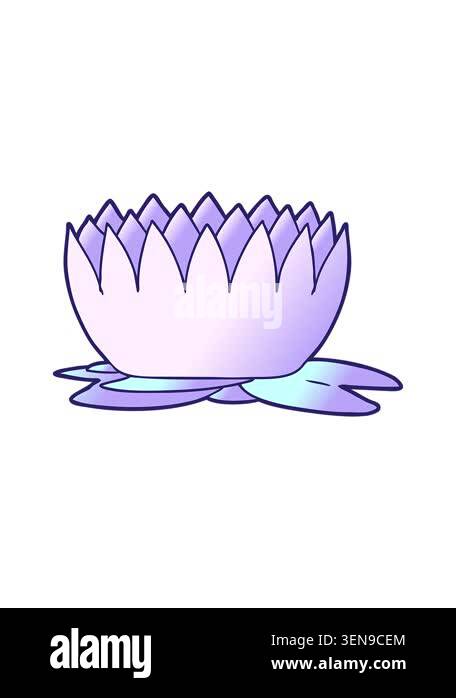 shine light effect animation of cartoon waterlily Stock Video Footage ...