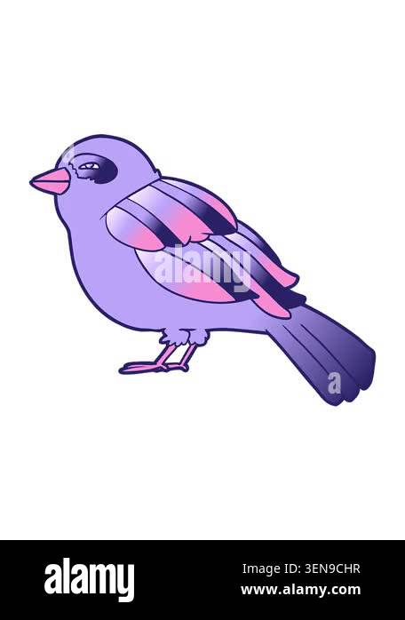 vibrating motion animation of cartoon of bright bird Stock Video ...
