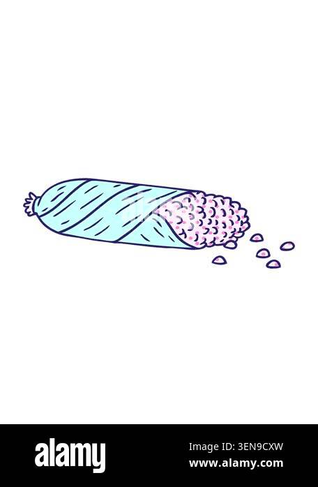 bobbing motion animation of hand drawn cartoon doodle of fresh corn on ...