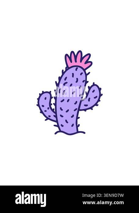 sales flash animation of traditional flowering cactus plant Stock Video ...