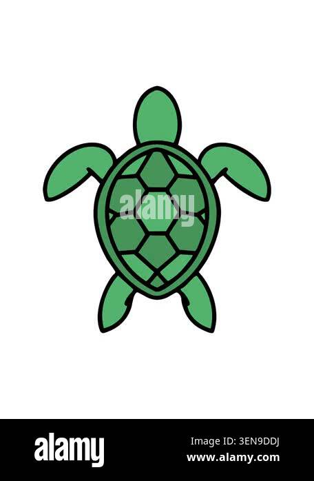 spinning motion animation of brazilian turtle shown from above Stock ...