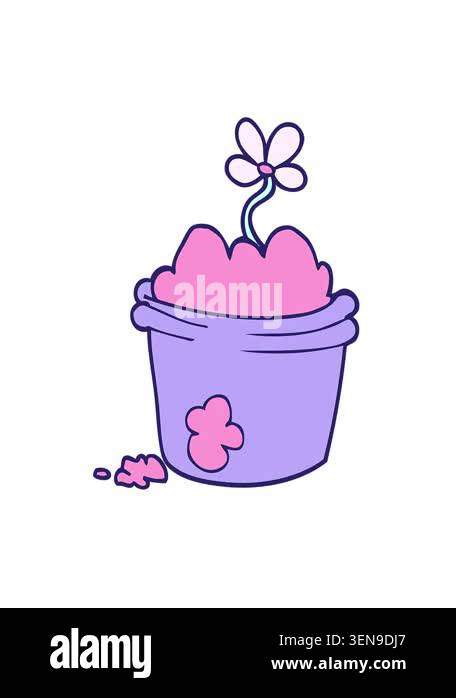 vibrating motion animation of simple flower pot Stock Video Footage - Alamy