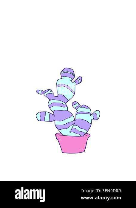 stretching up animation of cartoon of cactus Stock Video Footage - Alamy