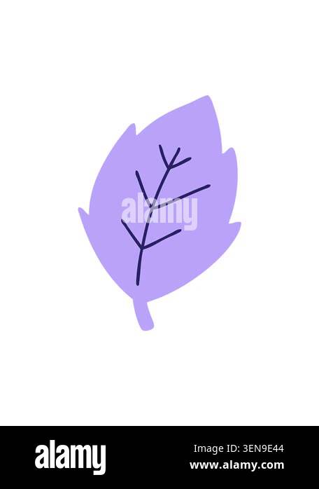 spinning motion animation of simple cartoon leaf Stock Video Footage ...