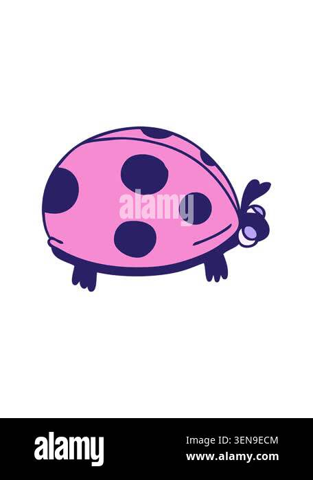 spinning motion animation of hand drawn quirky cartoon ladybird Stock ...