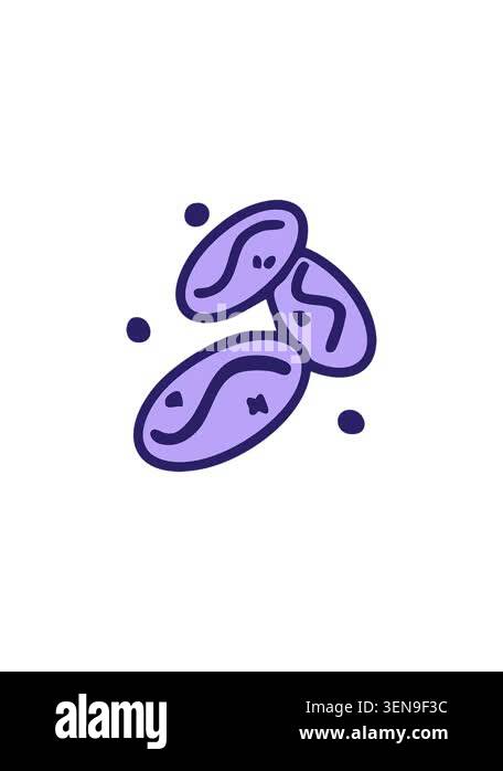 sales flash animation of three brazilian coffee beans together drawing ...